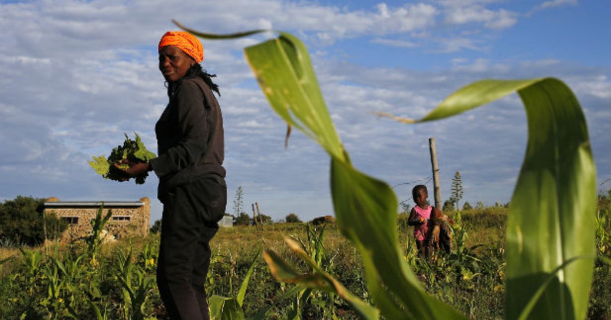 Raising the Profile of Climate-Smart Agriculture | Council on Foreign ...