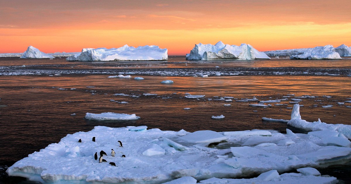 The Landmark Antarctic Treaty Turns Sixty, Facing Its Biggest Test ...