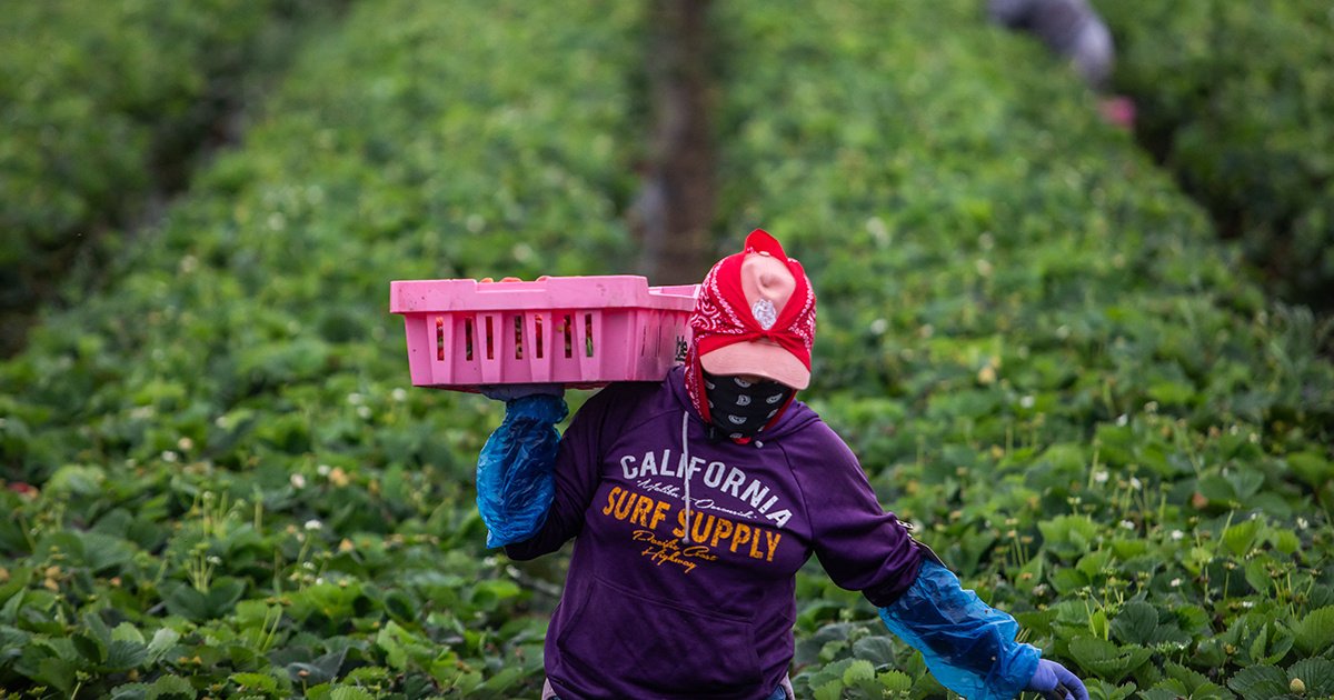 Trump Fires BLS Chief, Skips Causes of Weak Jobs Report | Council on ...