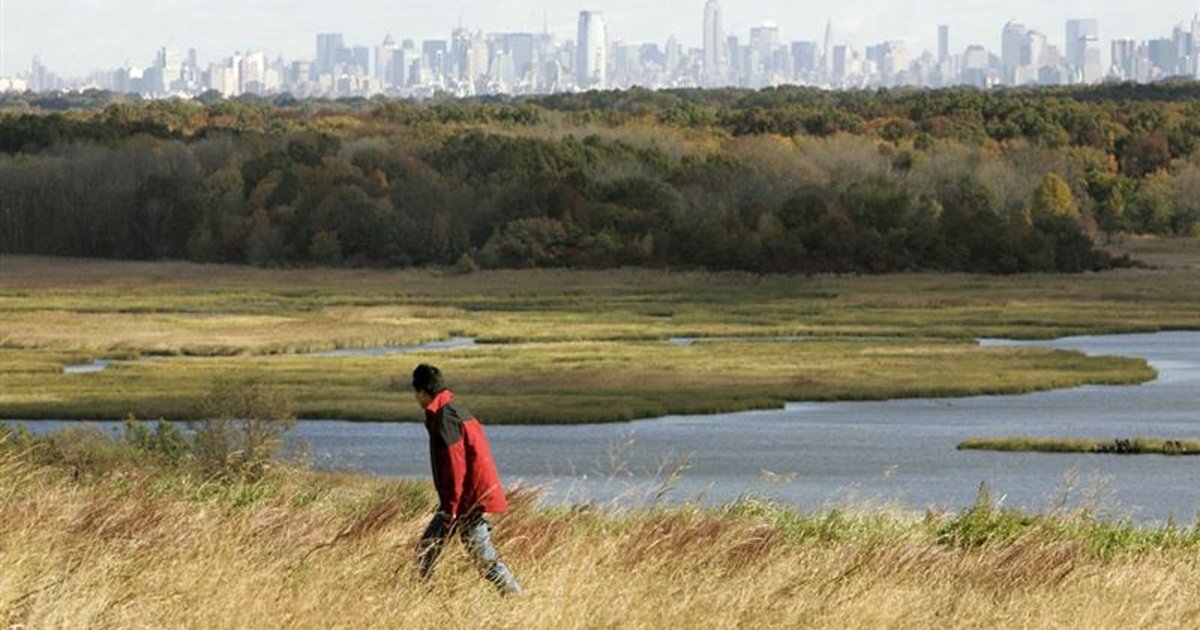 Climate Realism Special Issue: Climate Week 2025 | Council on Foreign ...