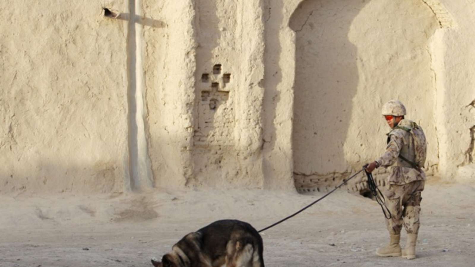 You Might Have Missed: Invading Syria, Arming Yemen, and Military Dogs ...