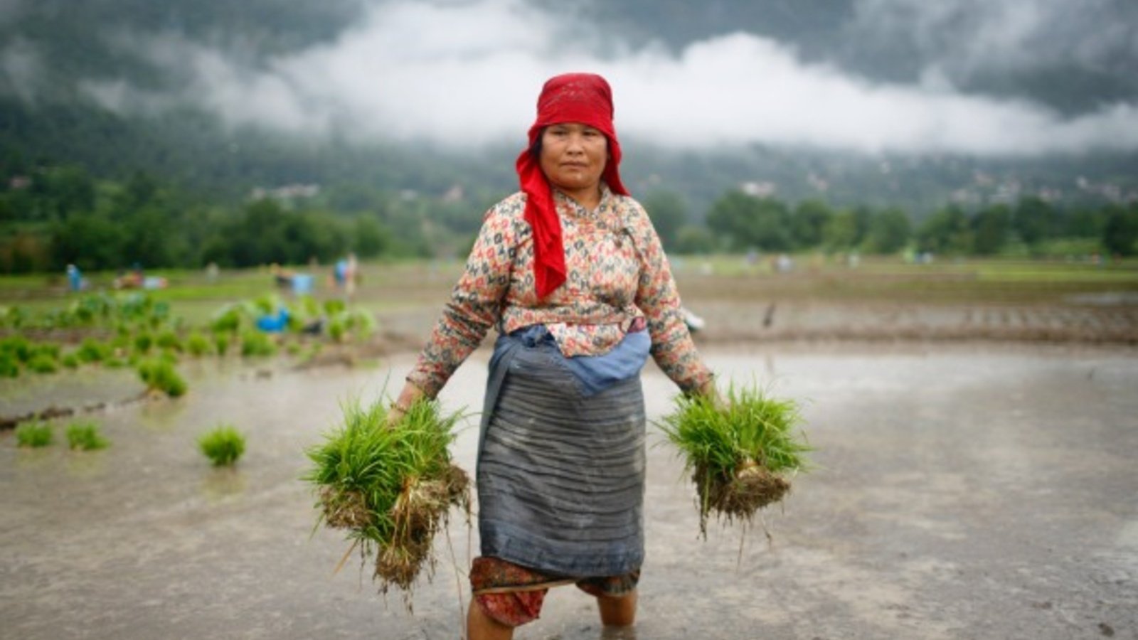 Eliminating Poverty and Hunger By Empowering Women | Council on Foreign ...