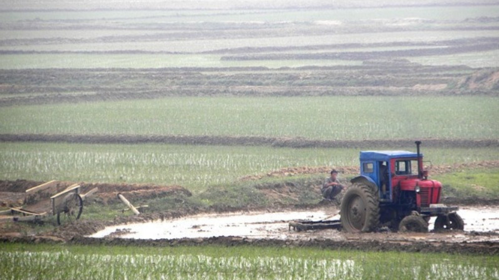 North Korea’s Food Situation: Stable and Improving | Council on Foreign ...
