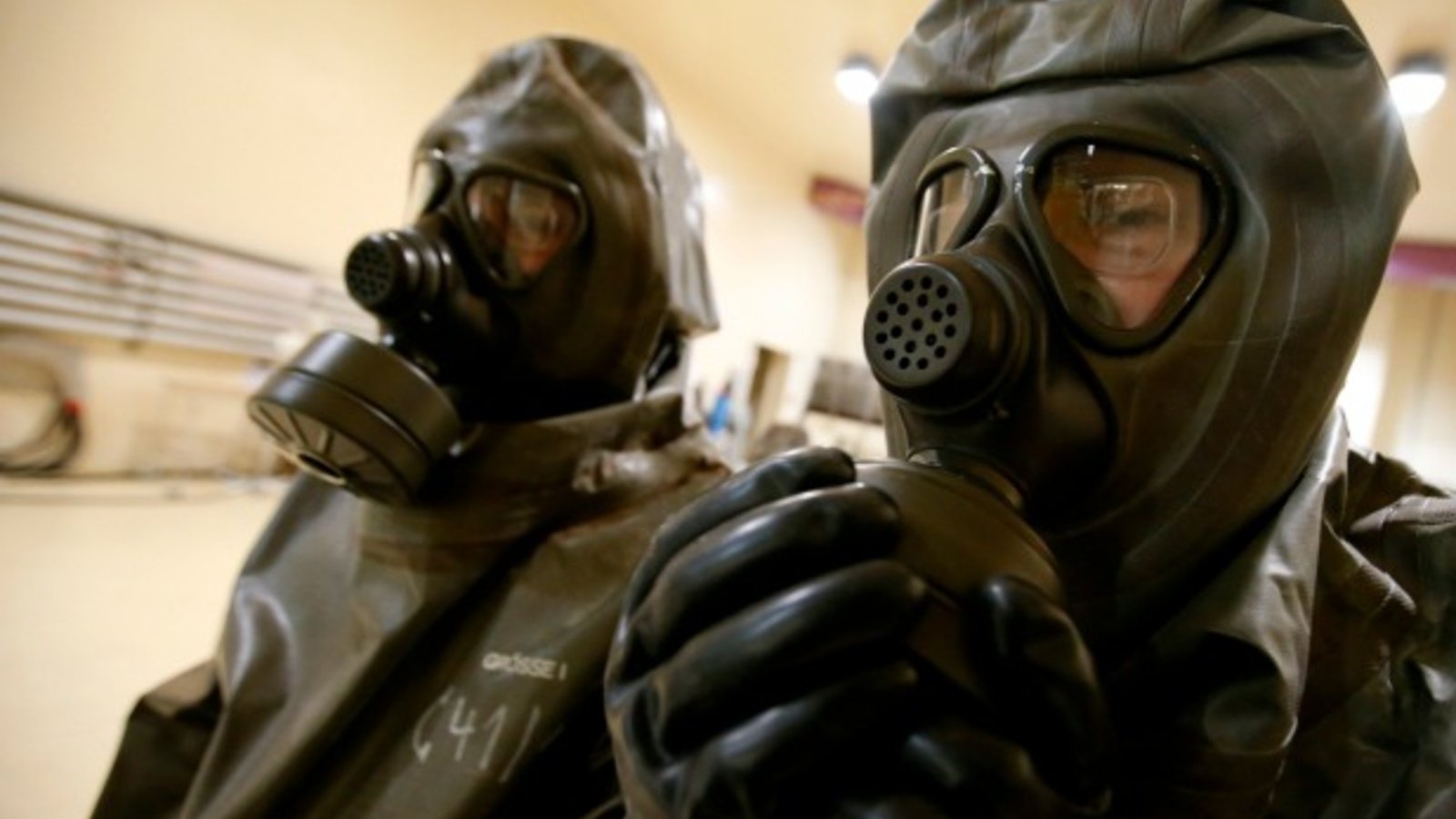 The Relationship Between the Biological Weapons Convention and ...