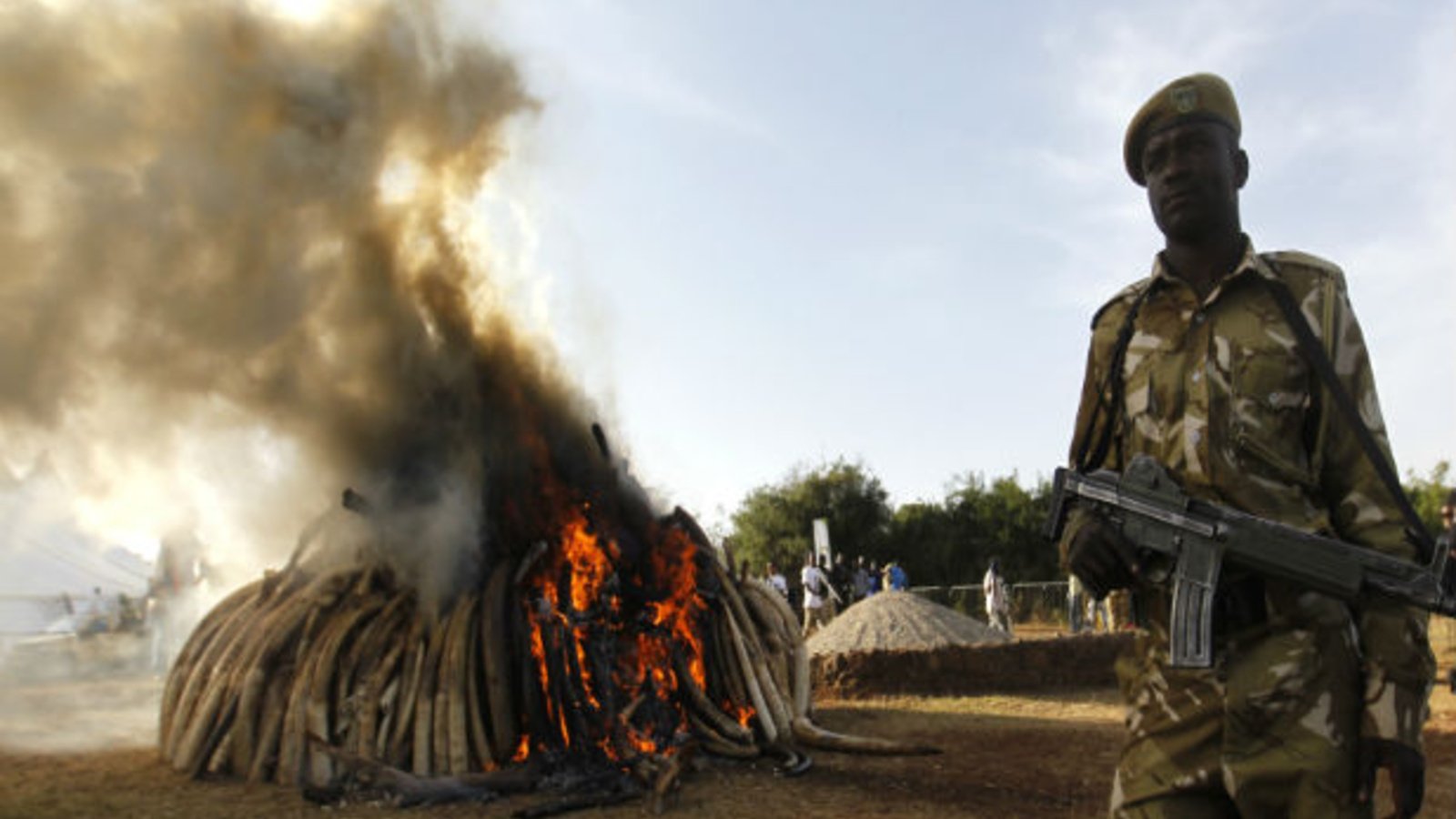Innovative Anti-poaching in Africa | Council on Foreign Relations