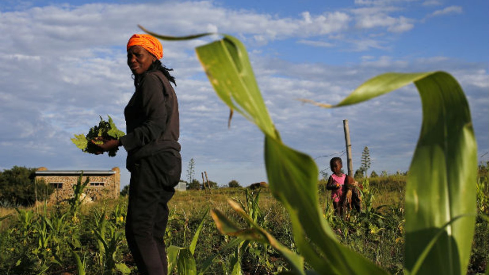 Raising the Profile of Climate-Smart Agriculture | Council on Foreign ...