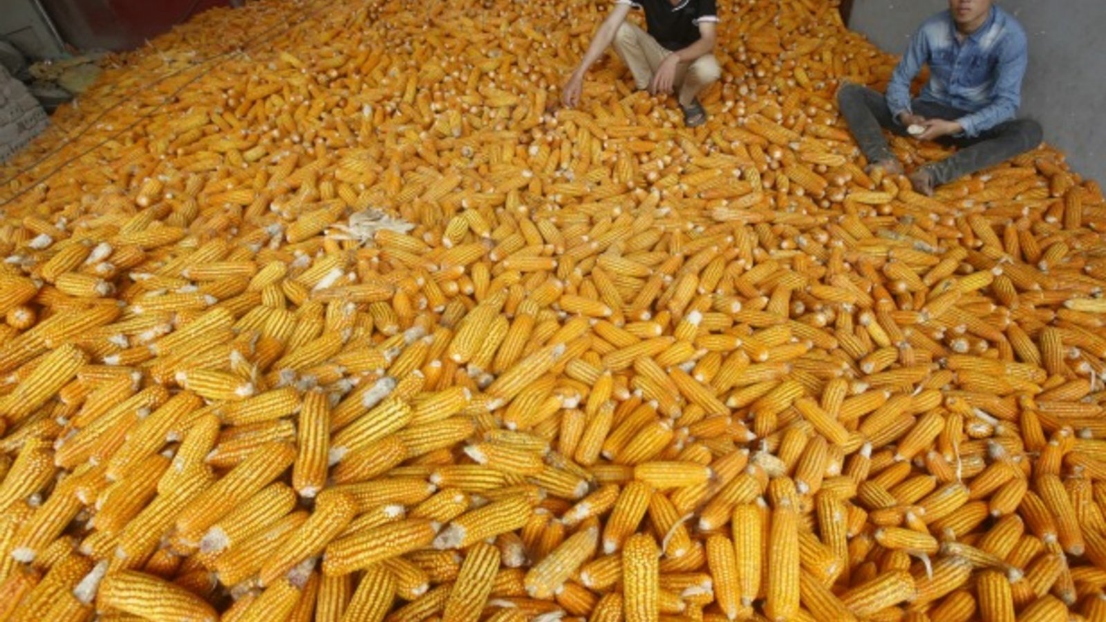 The Top Five Cyber Policy Developments of 2015: The Trans-Pacific ...