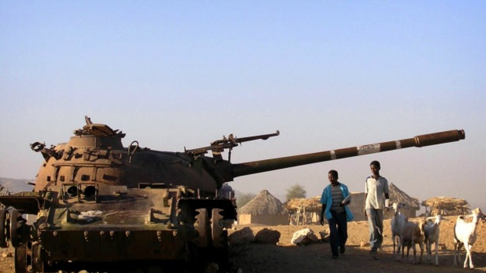 Eritrean Independence War Of Woman