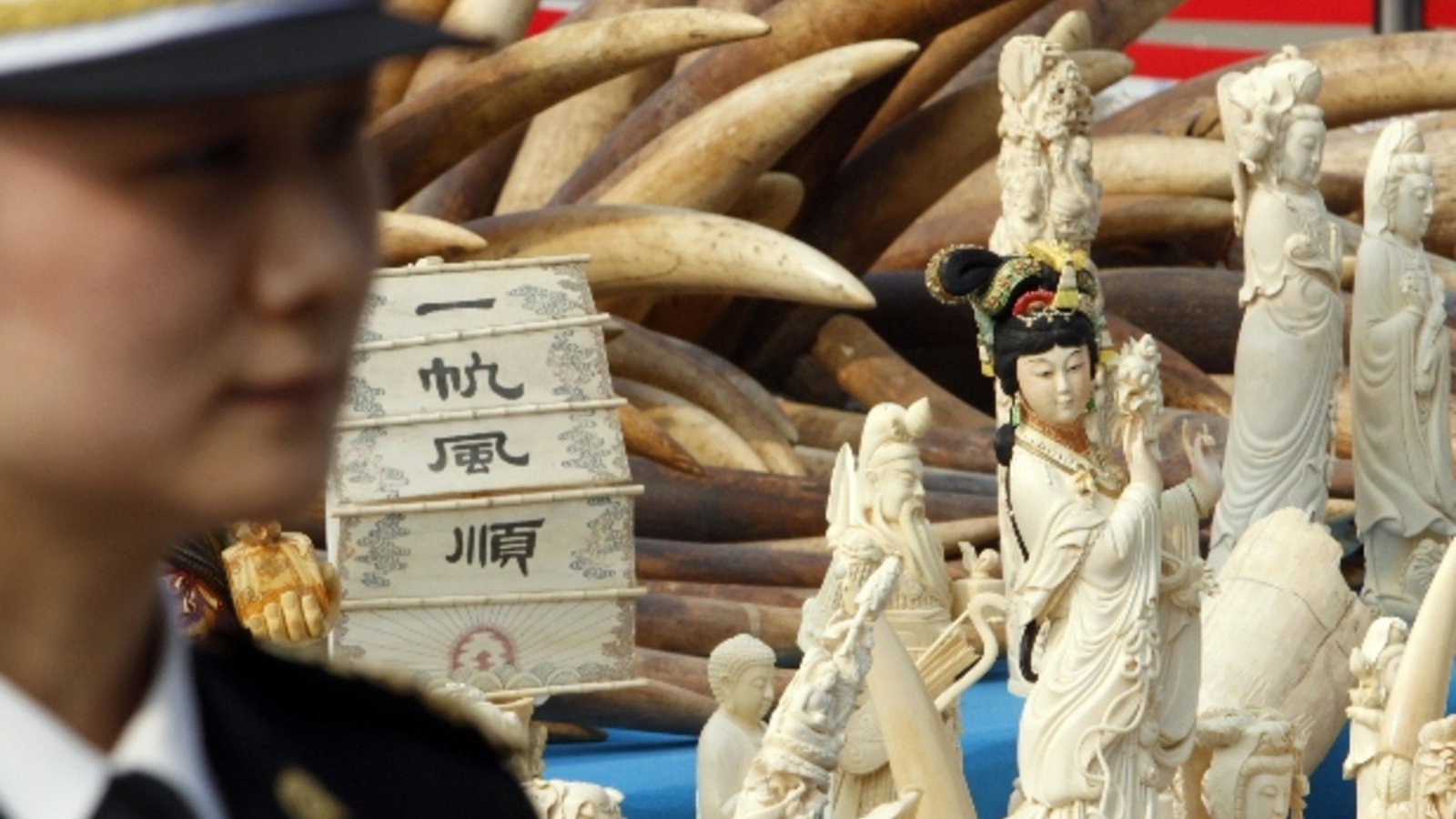 Chinese Ivory, Google in India, Philippine Jailbreak, and More ...