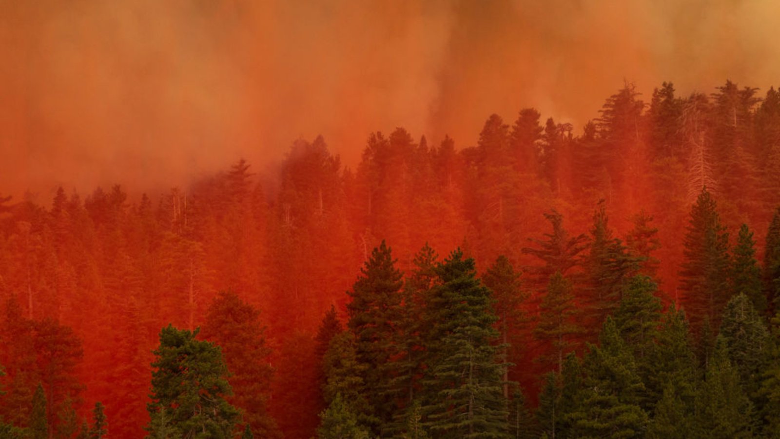 Adapting to Climate Change, With Alice C. Hill | Council on Foreign ...