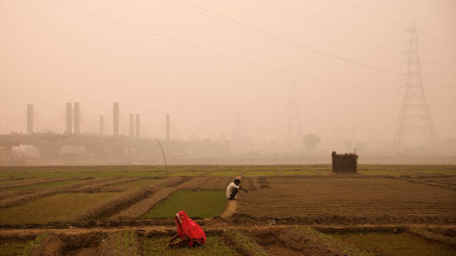 Virtual Roundtable: Clearing the Air on Air Pollution | Council on ...