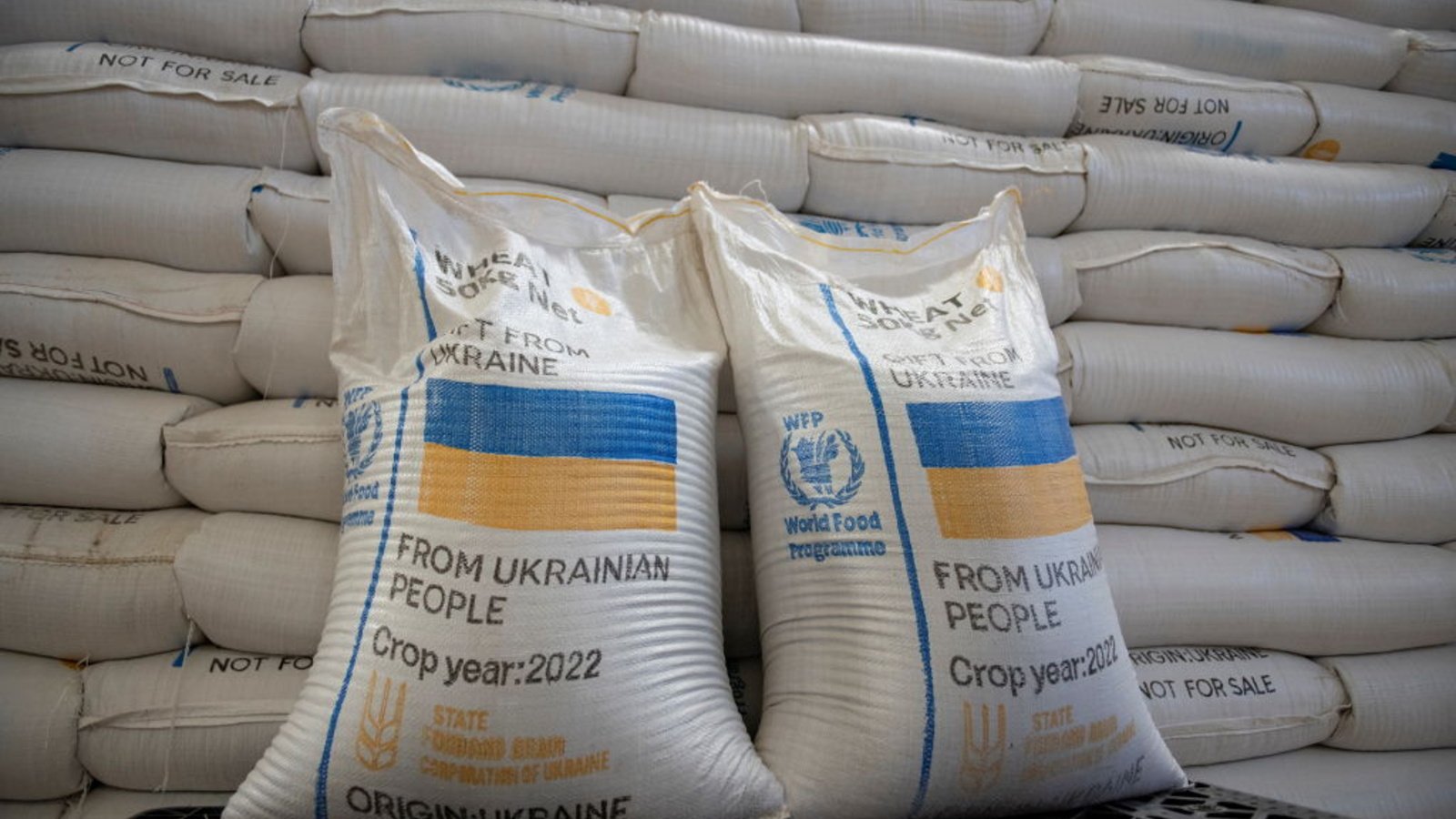 Global Food Insecurity, With Caitlin Welsh | Council on Foreign Relations