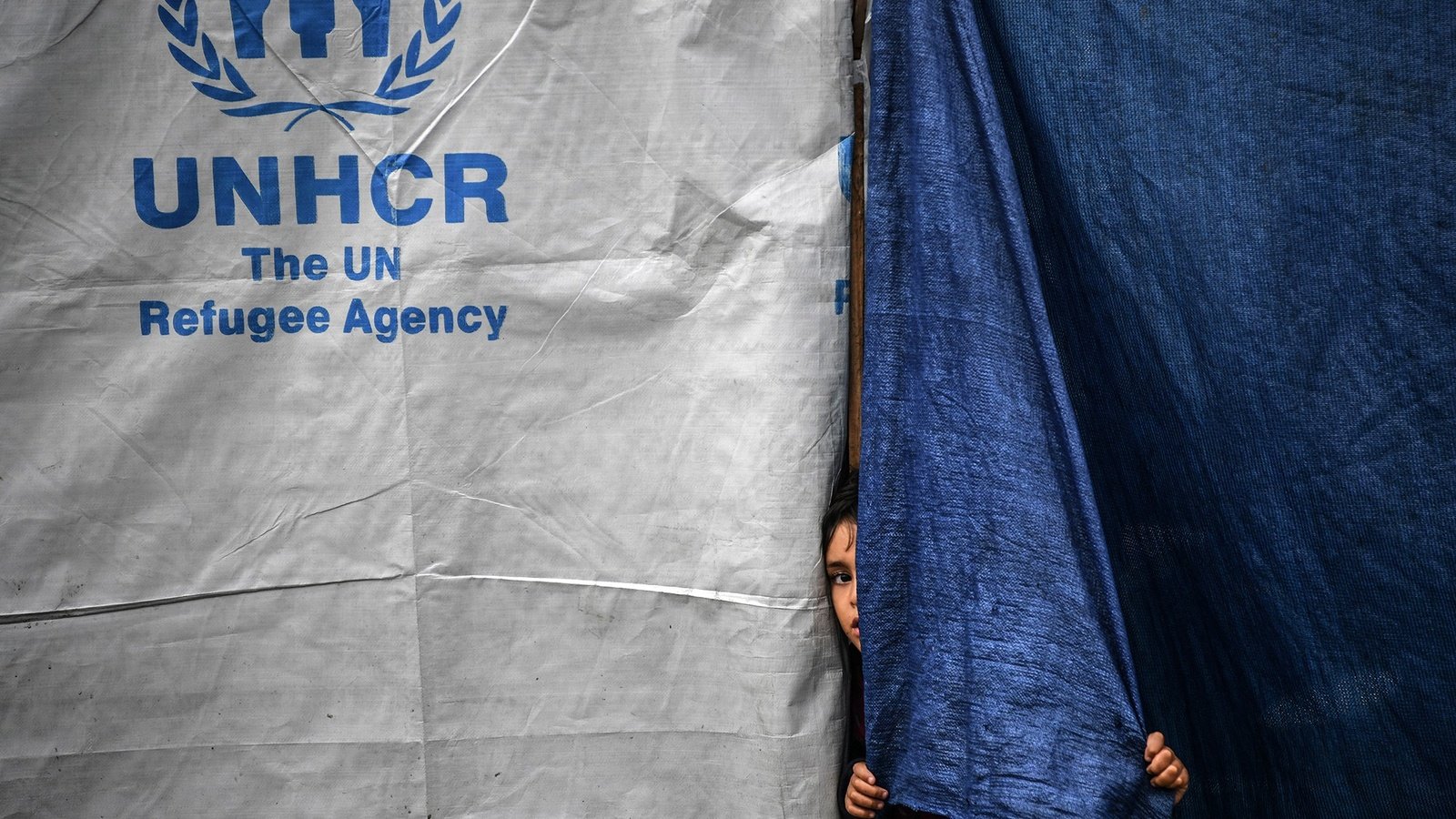 Funding the United Nations: How Much Does the U.S. Pay? | Council on ...