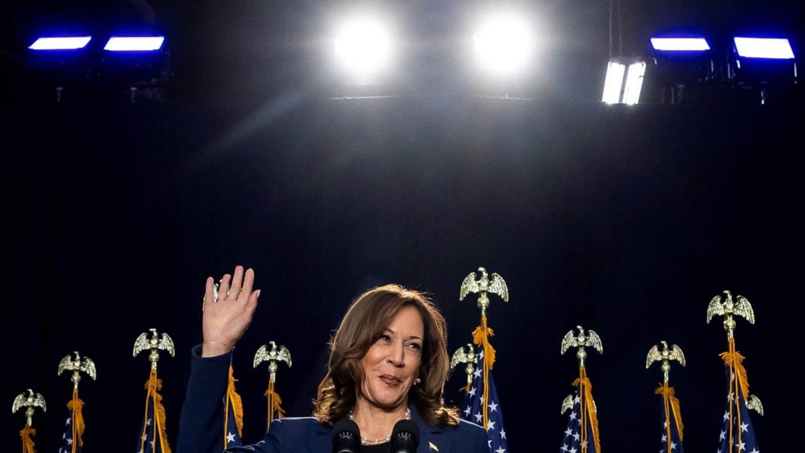 Election 2024: Kamala Harris Is the Democratic Presidential Nominee ...