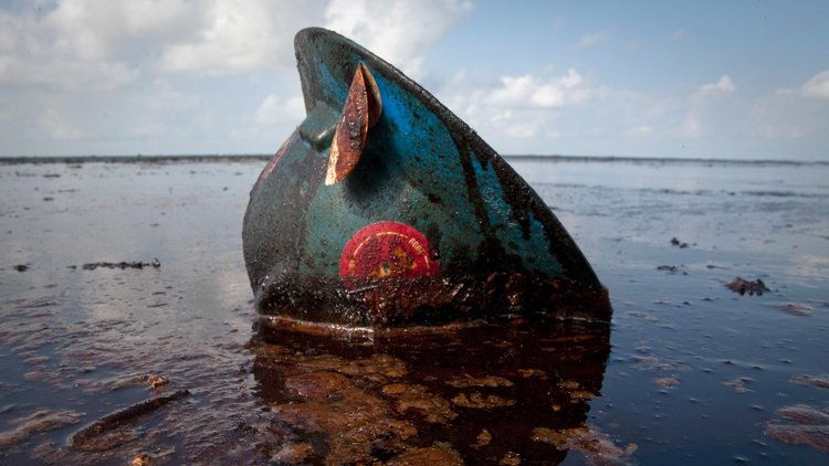 Ecological Disasters | Council on Foreign Relations